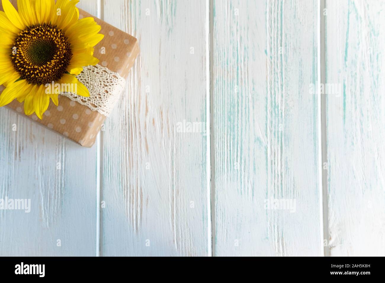 Sunflowers frame text flower hi-res stock photography and images - Alamy