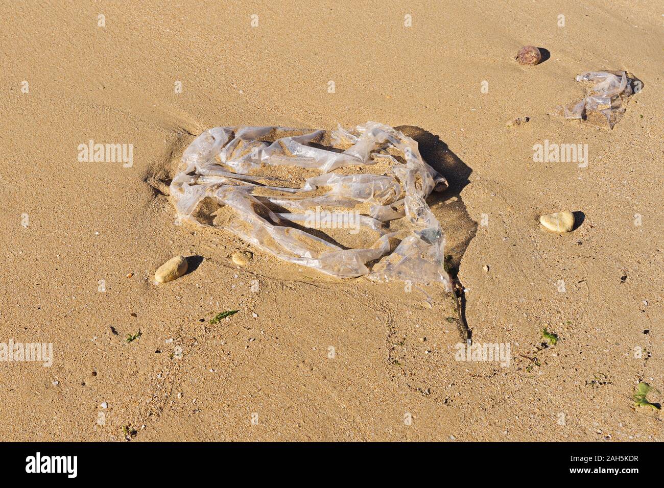 Discarded plastic bag by wave at sandy beach shore, closeup view ...