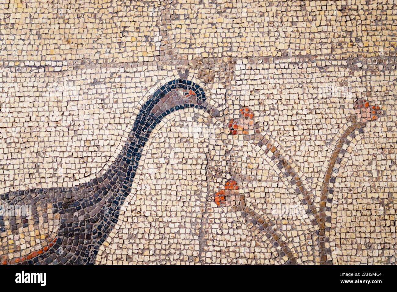 Tabgha, Israel. The Church of the Multiplication of the Loaves and Fish ...