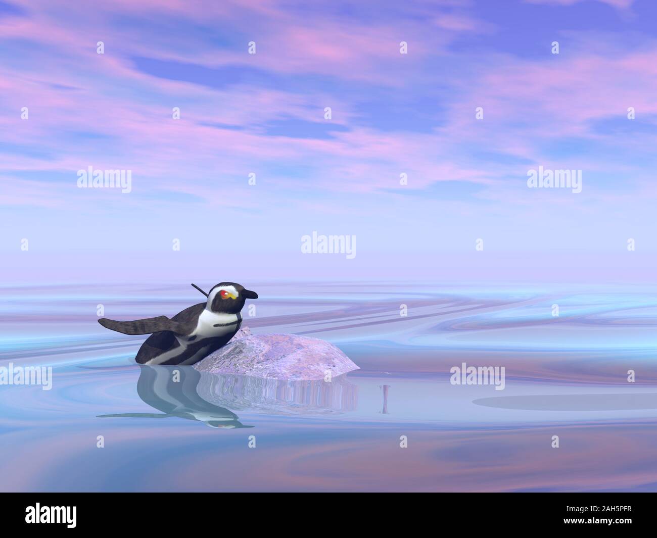 Arctic penguin sunset hi-res stock photography and images - Alamy