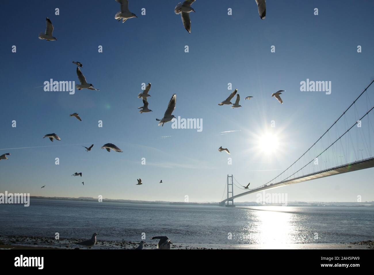 With foreshore bridge hi-res stock photography and images - Alamy