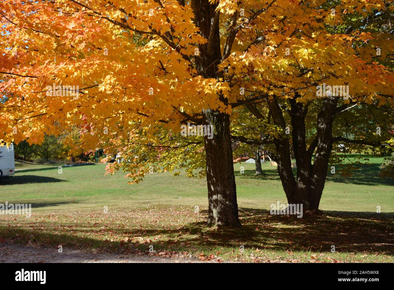 Northern ontario forest hi-res stock photography and images - Alamy