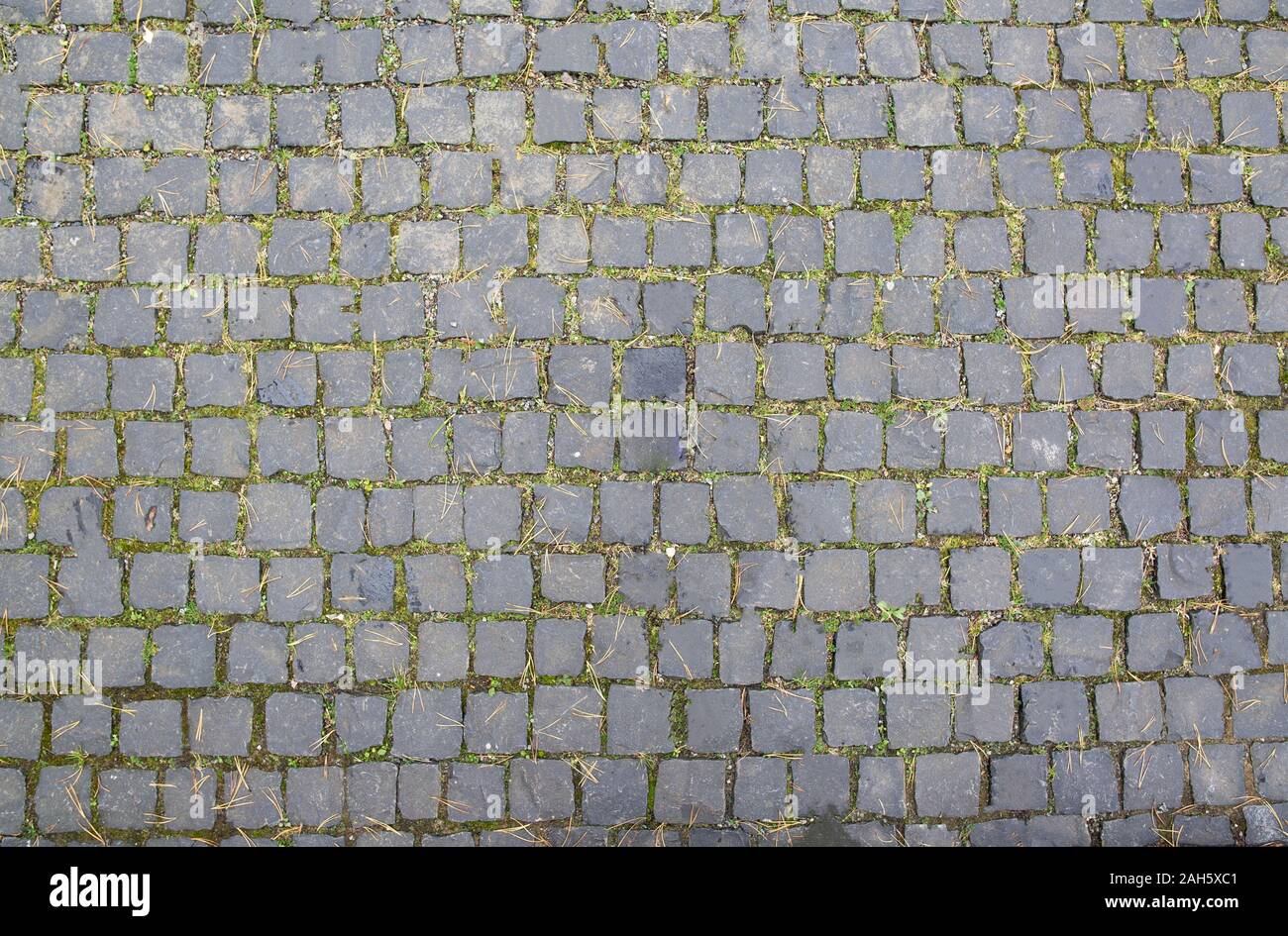 Beautiful texture and background of cement paving slabs Stock Photo - Alamy