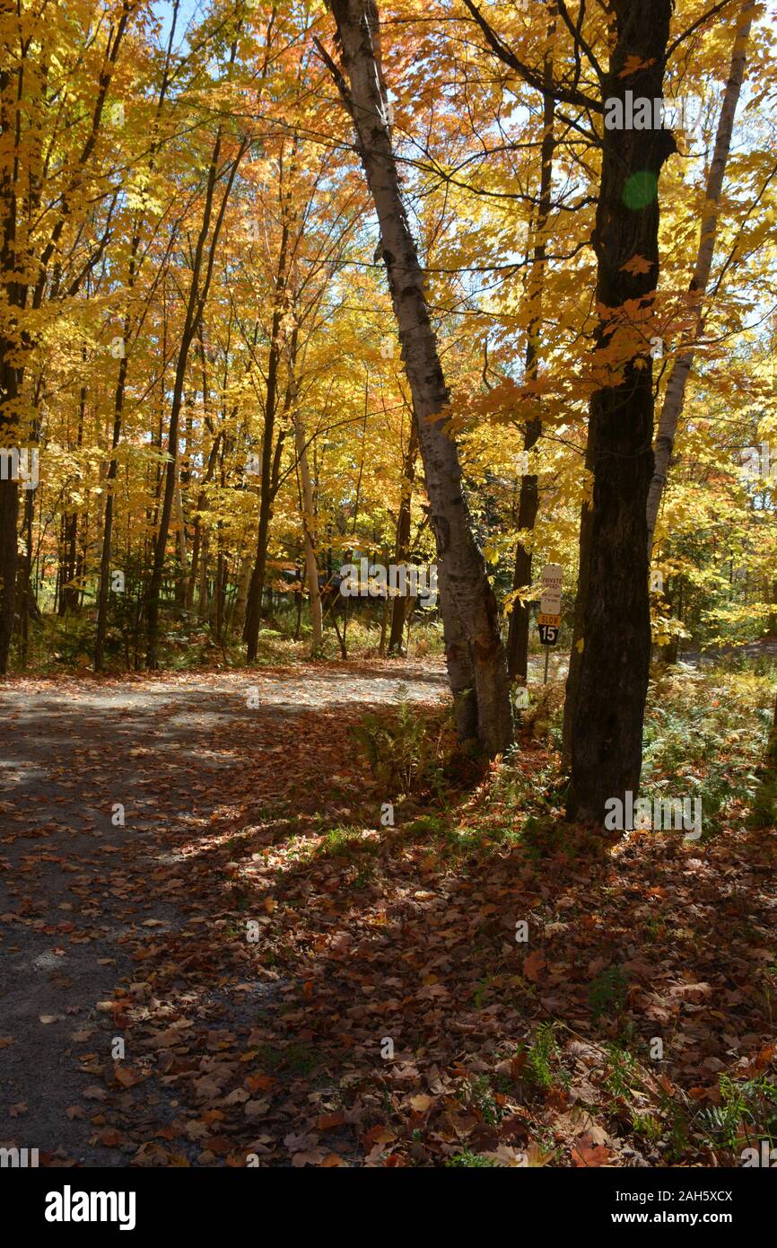 Onrario hi-res stock photography and images - Alamy