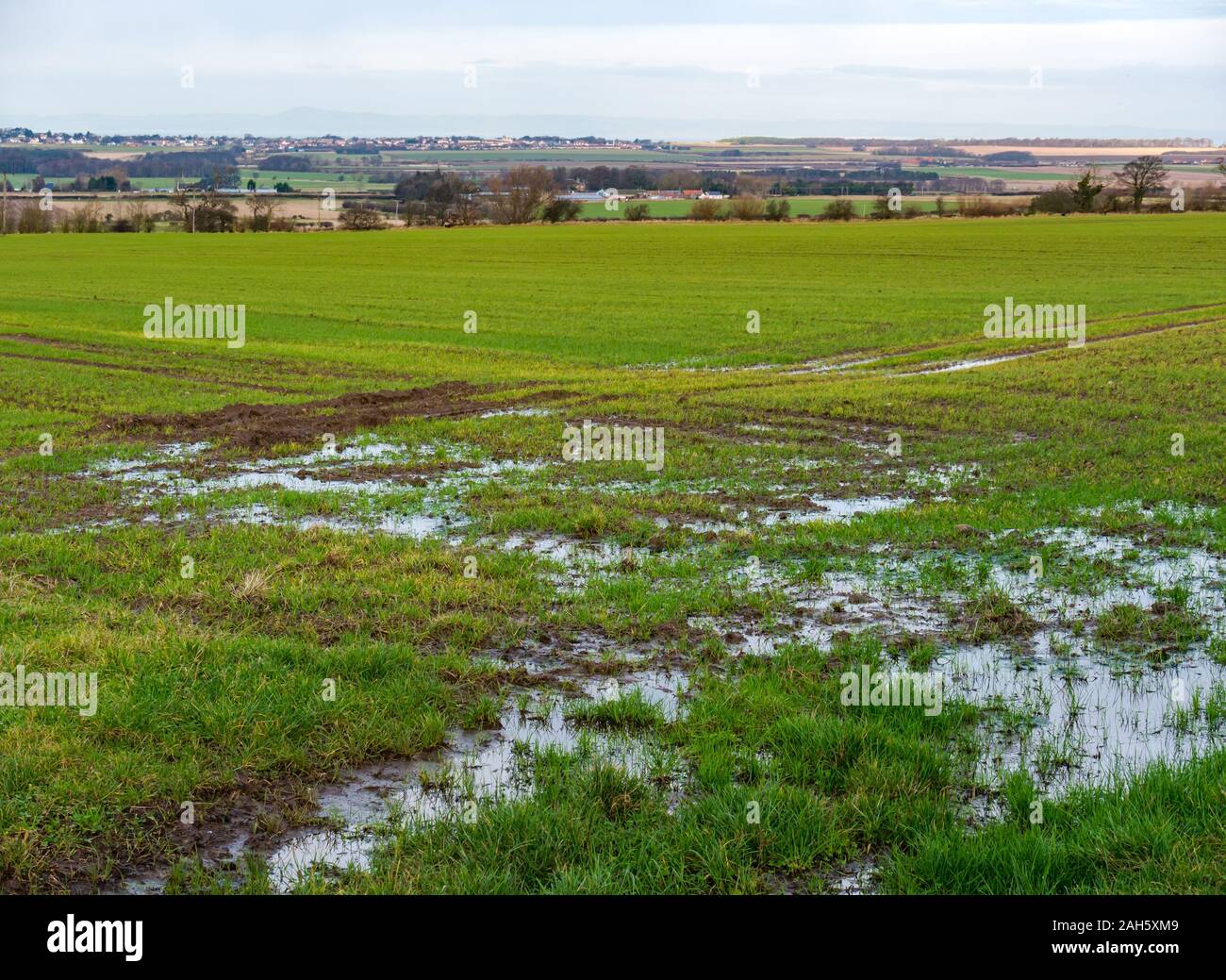 Waterlogged flooded muddy crop field in agricultural landscape, East ...