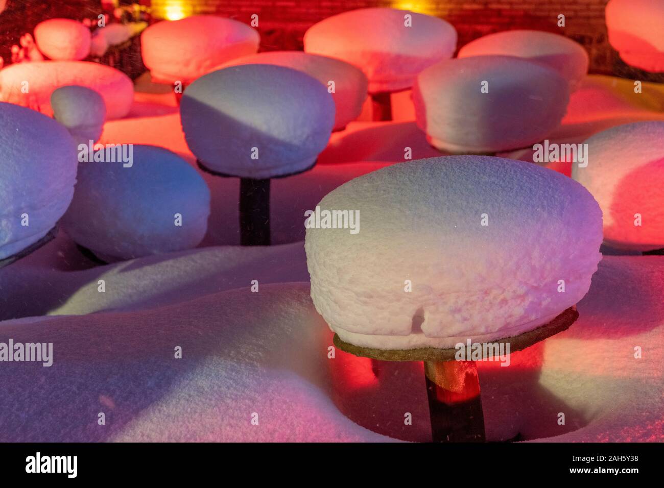 Snowscape with trees in wooded forest covered in snow and frost during ...