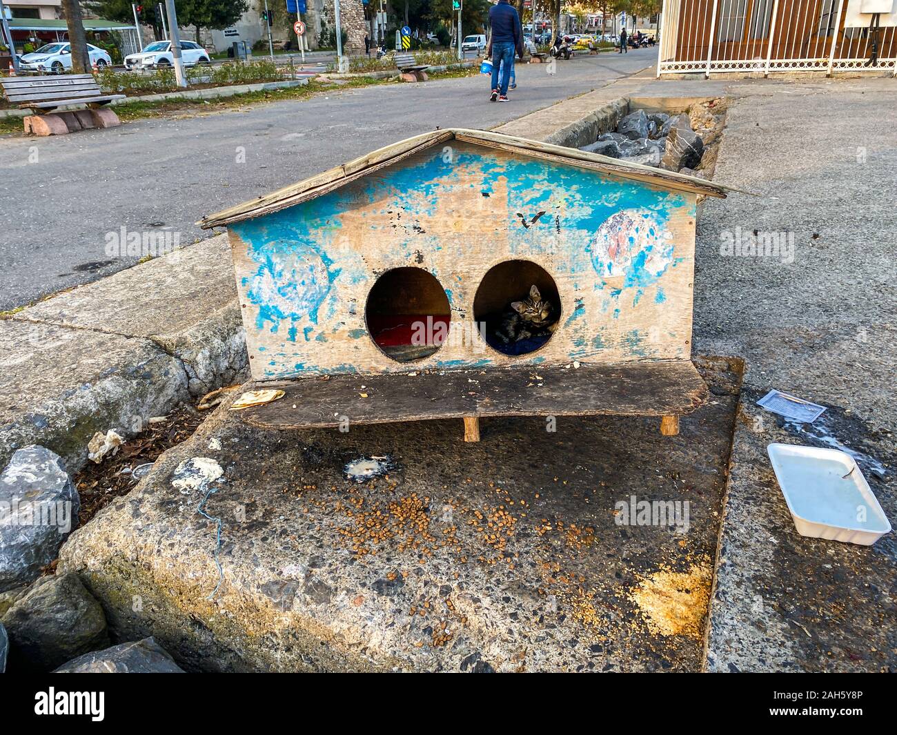 street house for homeless cats in Istanbul, Turkey. cat cabin stands on ...