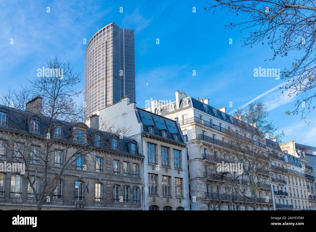 Paris, typical buildings, parisian facades, with the Montparnasse tower ...