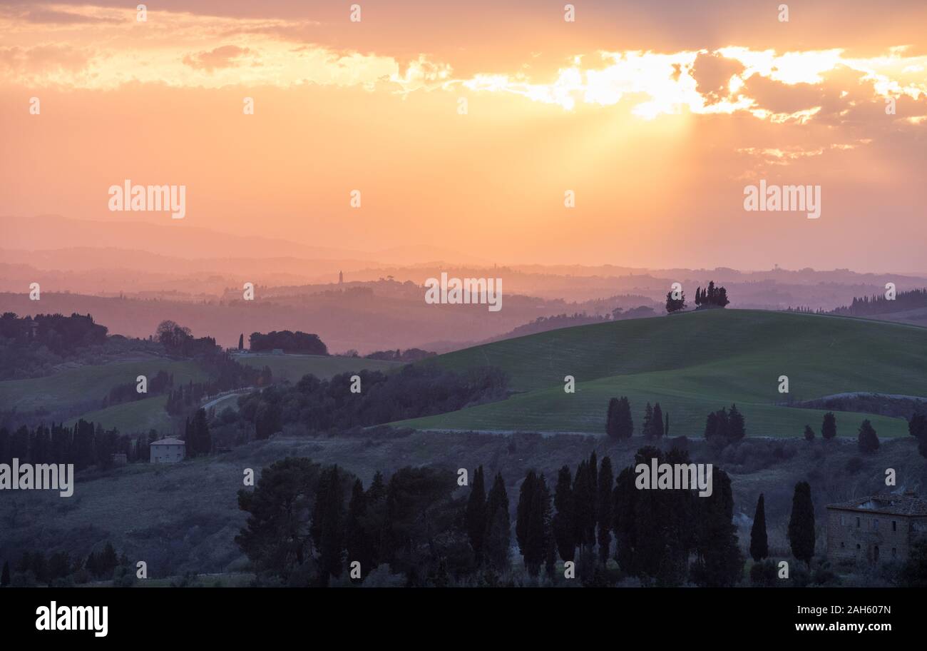 Golden sun in the tuscany hi-res stock photography and images - Alamy
