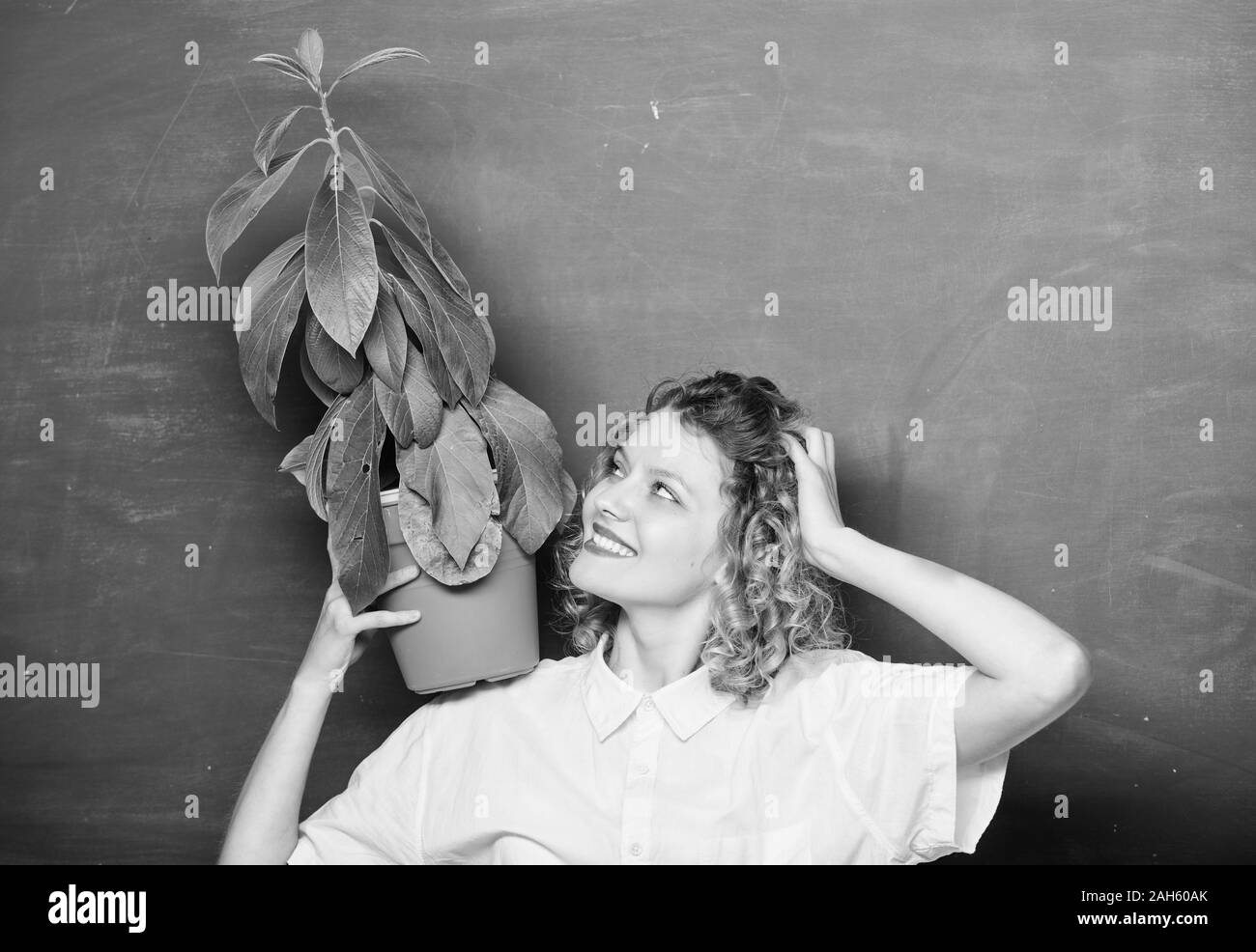 Easy houseplants. Take good care houseplants. Girl hold plant in pot ...