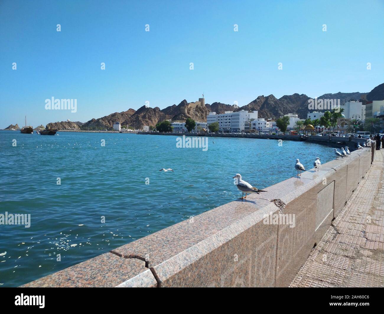 Coastline of Muscat- capital city of Oman Stock Photo - Alamy