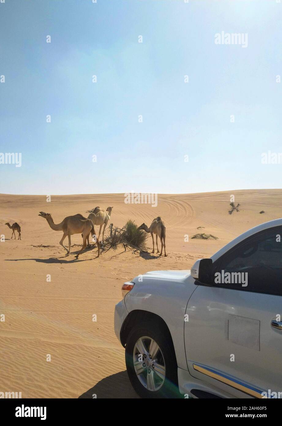 Dubai sand racer hi-res stock photography and images - Alamy