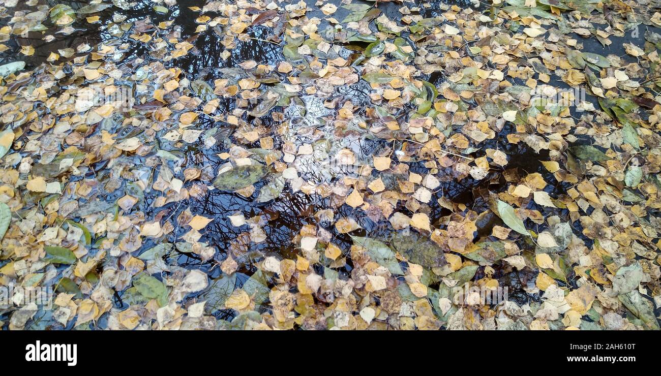 Puddle effect hi-res stock photography and images - Alamy