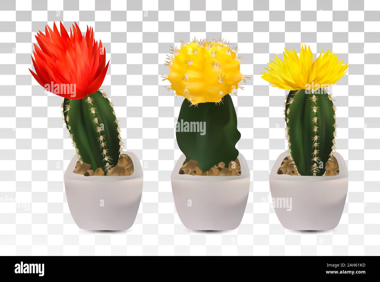 Set 3d realistic cactus with yellow, red flower. Decorative cactus ...