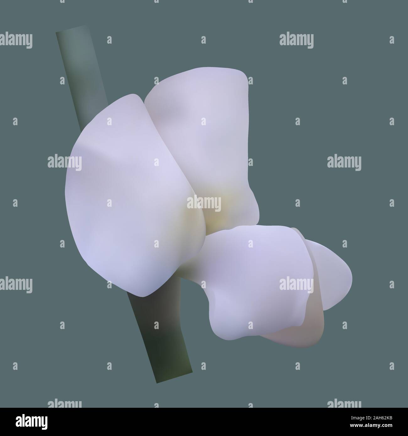 White purple spotted flowers Stock Vector Images - Alamy