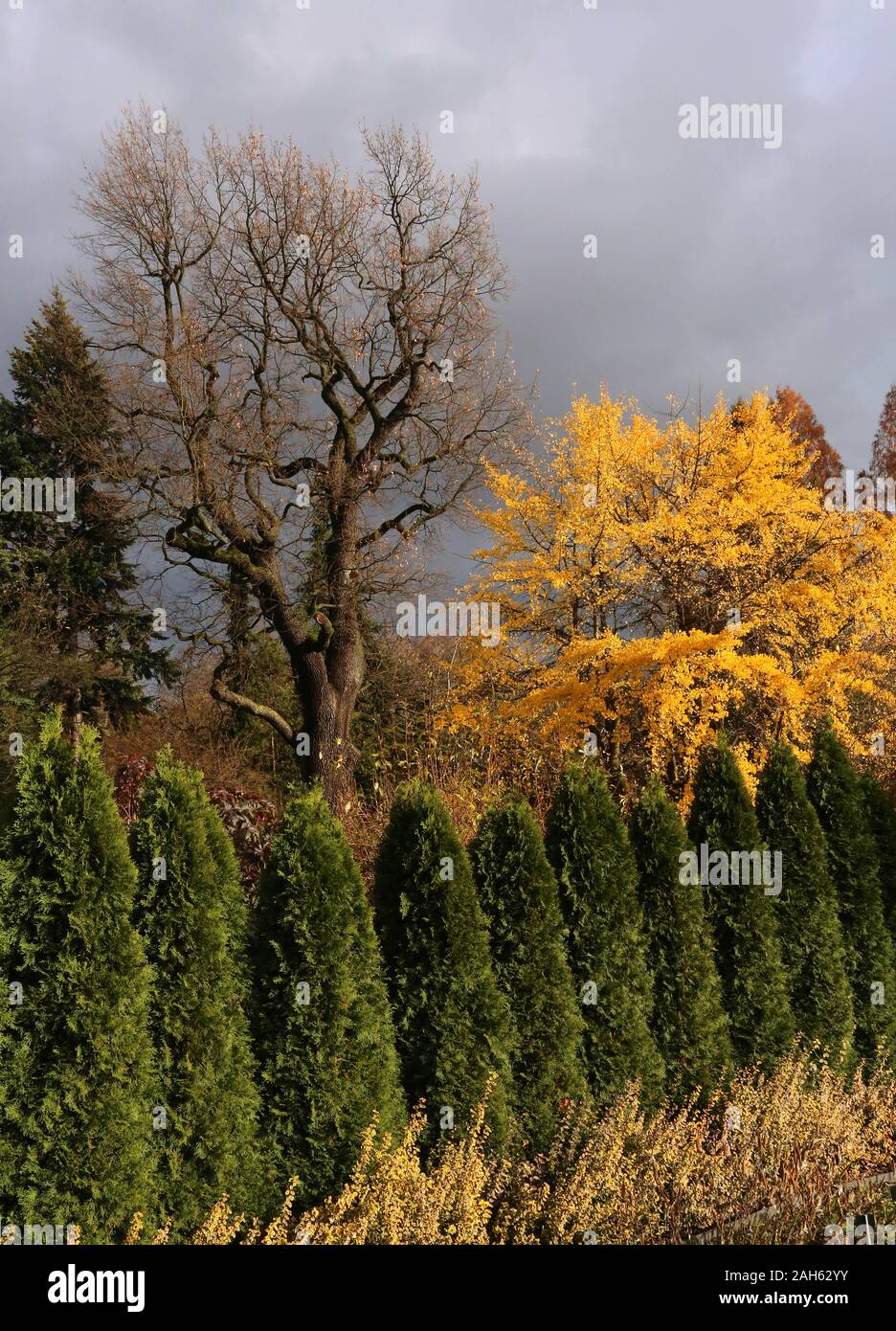Cracow. Krakow. Poland. Botanical gardens of Jagiellonian University in ...