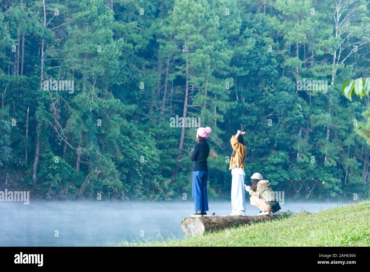 Heather tong hi-res stock photography and images - Alamy