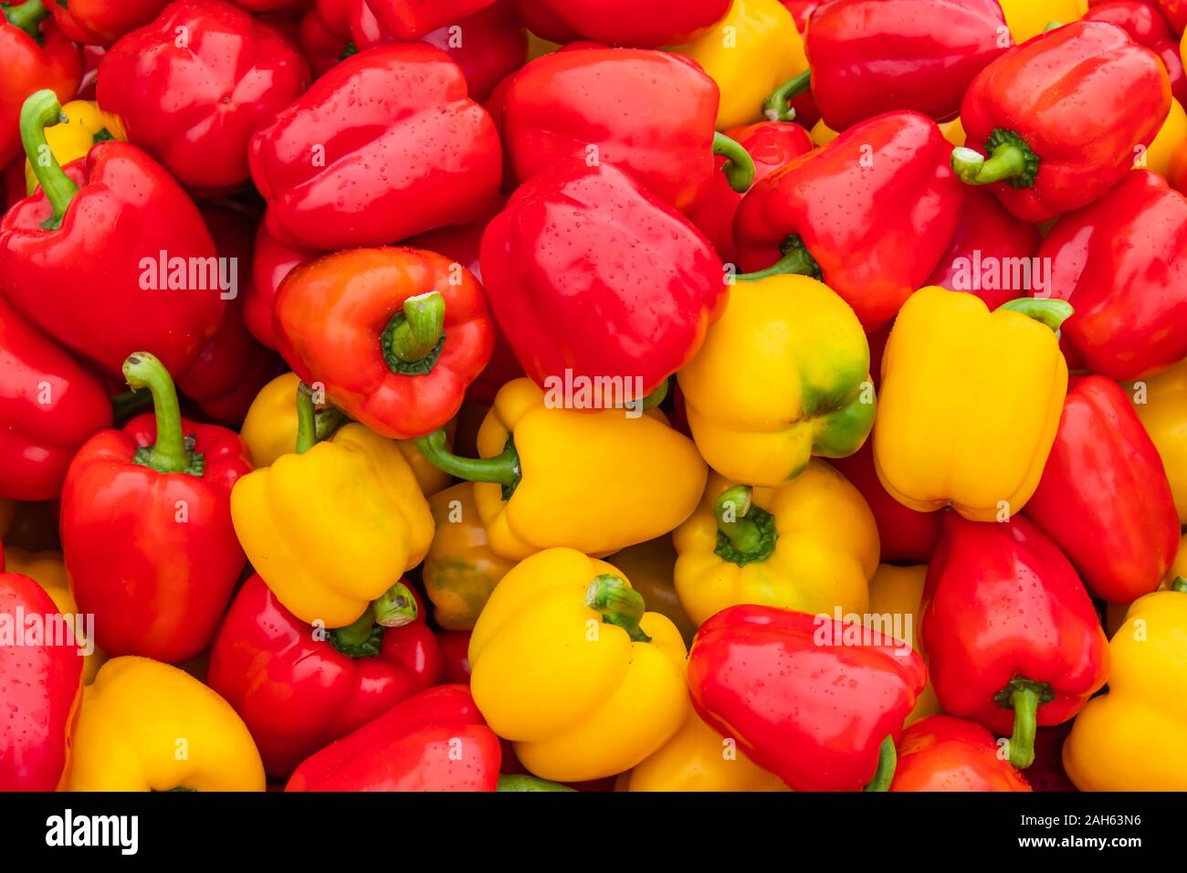 Thailand and israel hi-res stock photography and images - Alamy