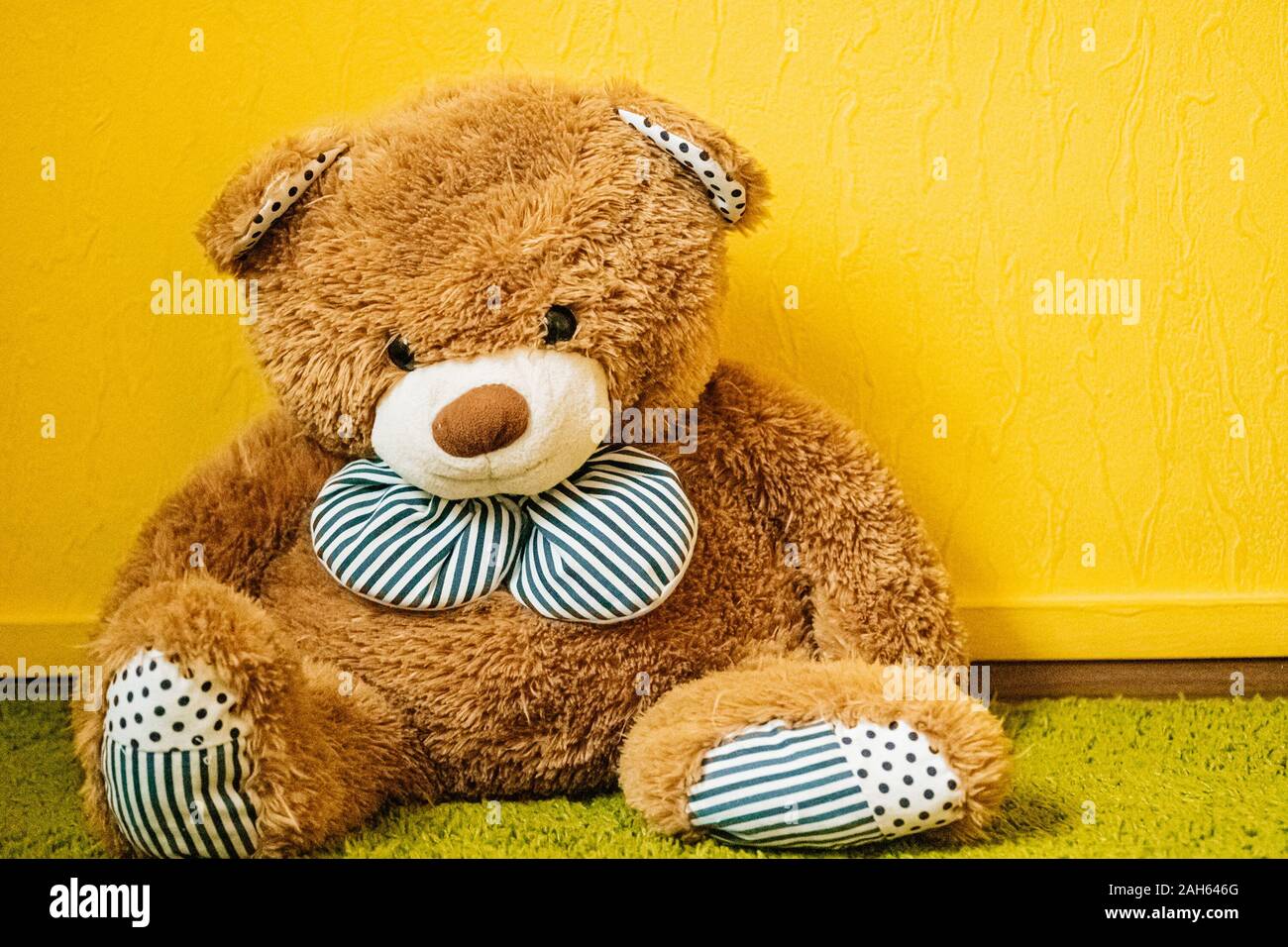 Carpet bears hi-res stock photography and images - Alamy