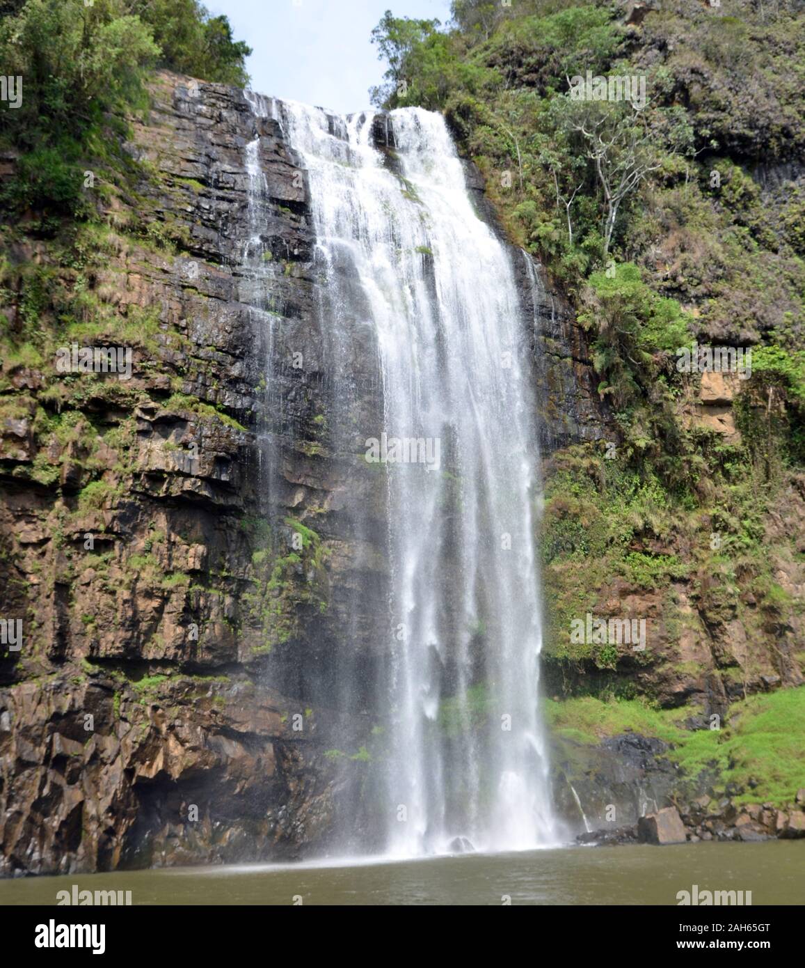 Long waterfall in the jungle south of Brazil Stock Photo - Alamy