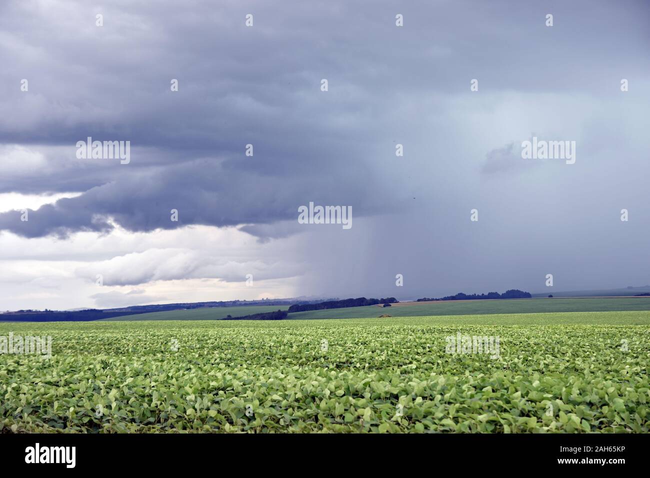 Huge dark rain clouds on a nature field scene Stock Photo - Alamy