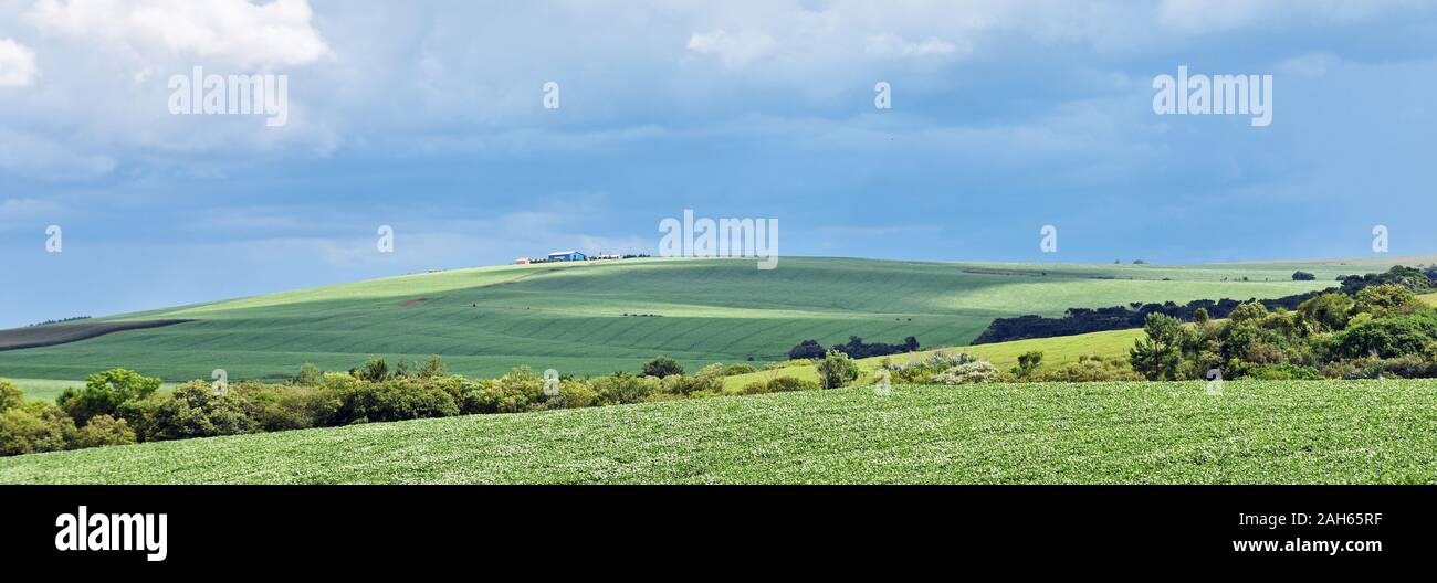 Landscape in the south of Brazil hills and farmland Stock Photo - Alamy