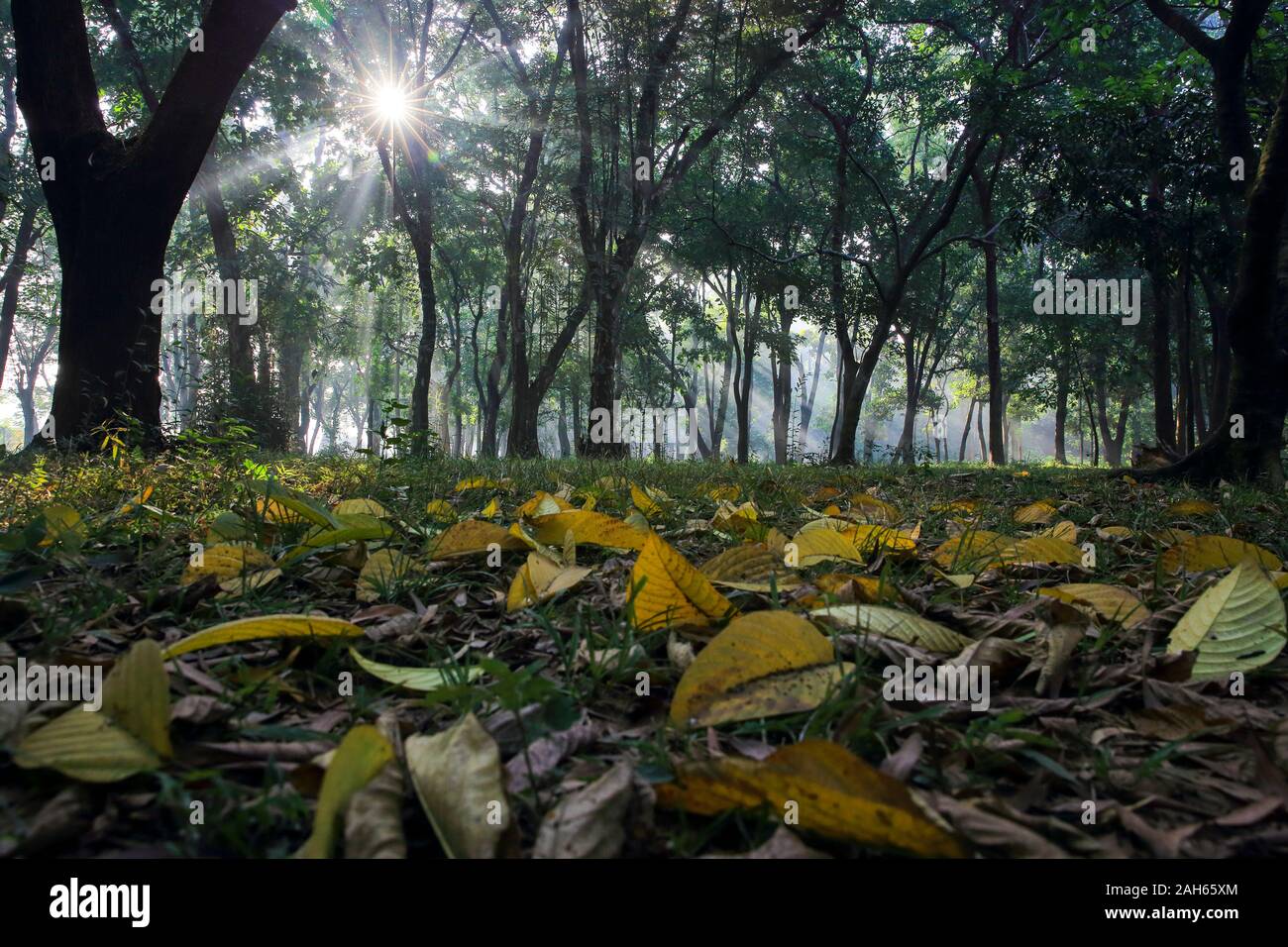Bangladeshi sun rise hi-res stock photography and images - Alamy