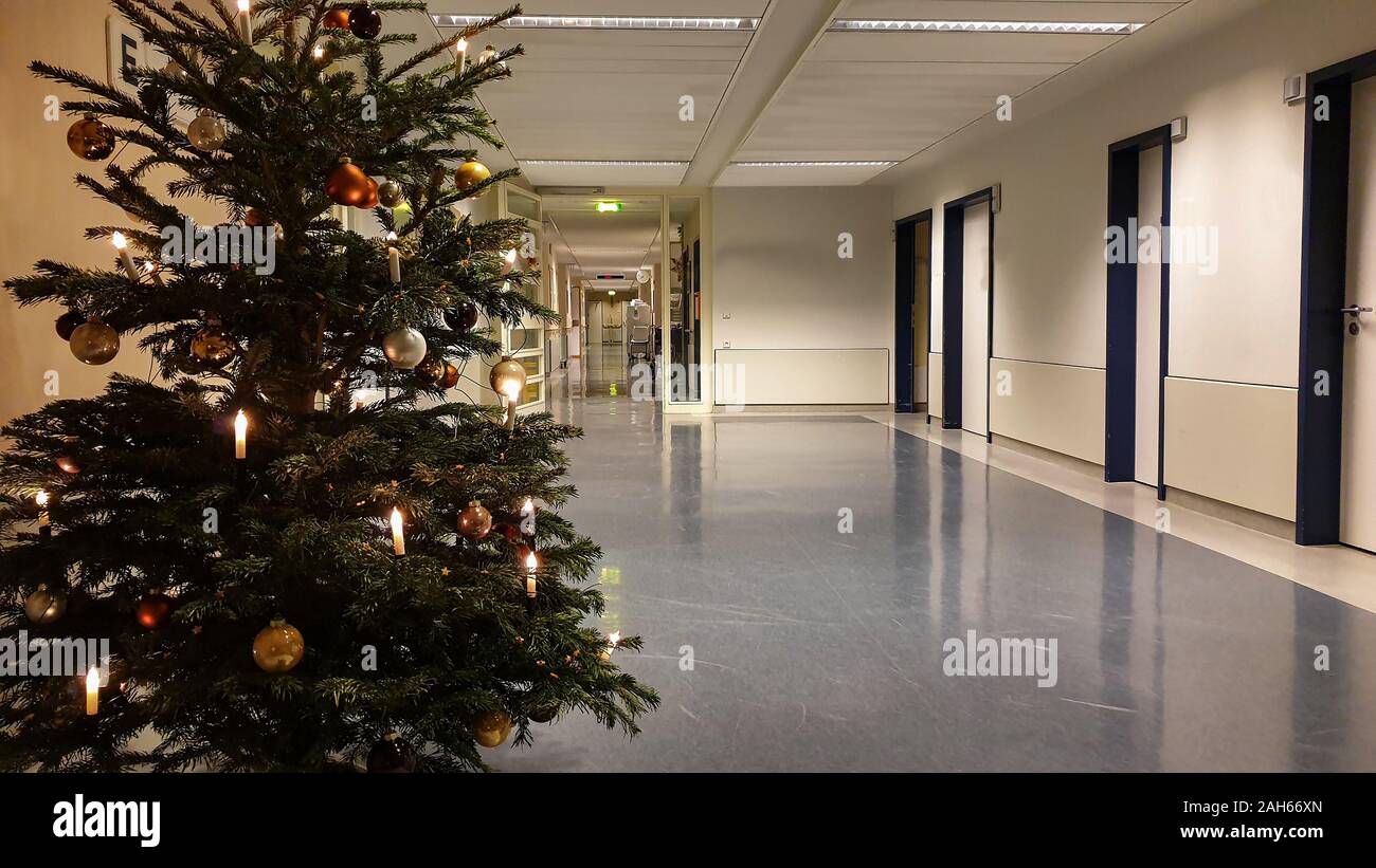 Decorated christmas tree hallway hi-res stock photography and images ...