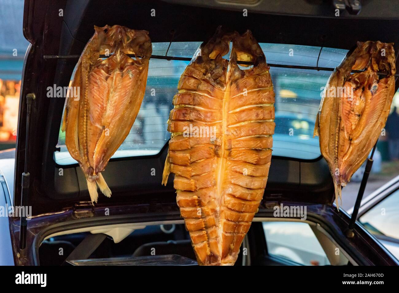 Close-up image of different types of dried fish. Beer snack concept ...