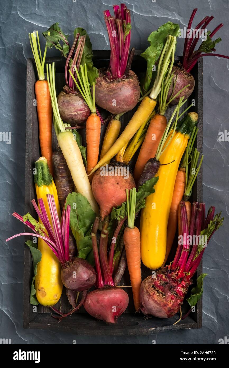 Lay down roots hi-res stock photography and images - Alamy