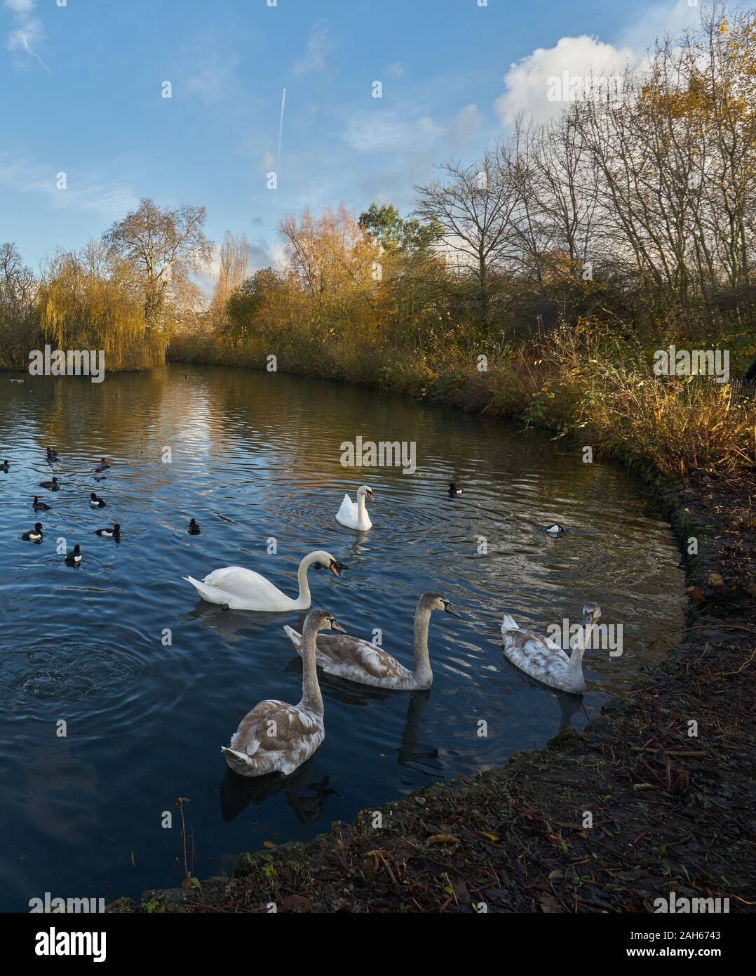 Hackey parks hi-res stock photography and images - Alamy