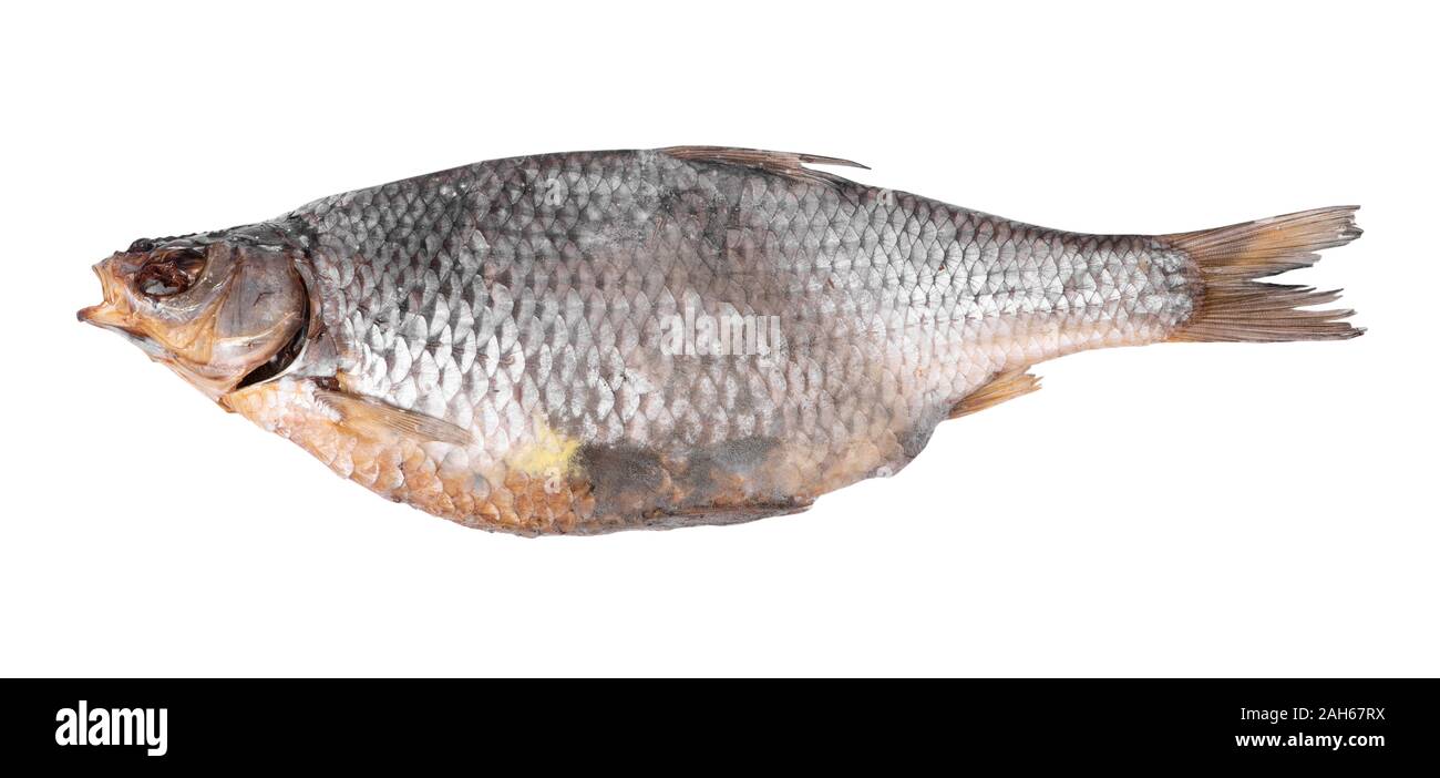 Rotten dried fish isolated on white background Stock Photo - Alamy