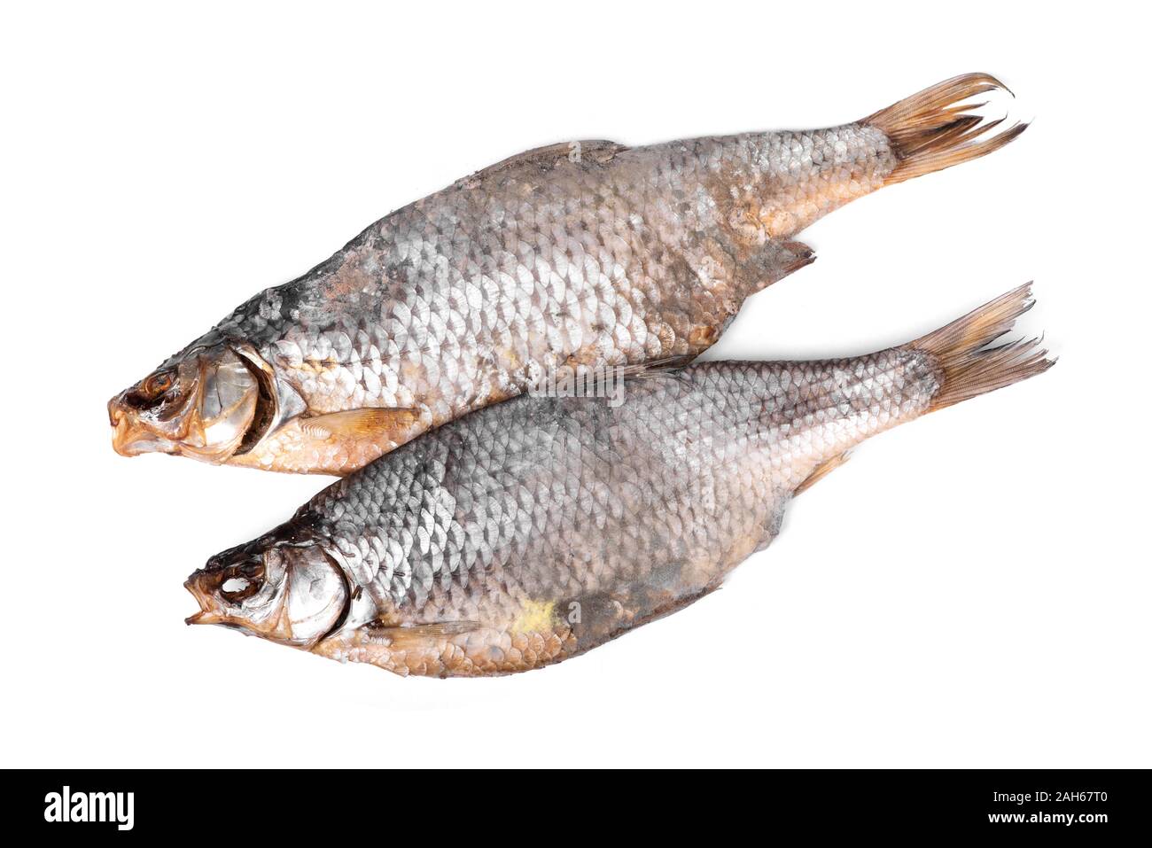Rotten dried fish isolated on white background Stock Photo - Alamy