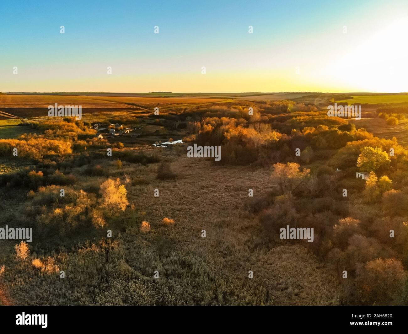 Aerial view of golden trees in steppe taken by drone Stock Photo - Alamy