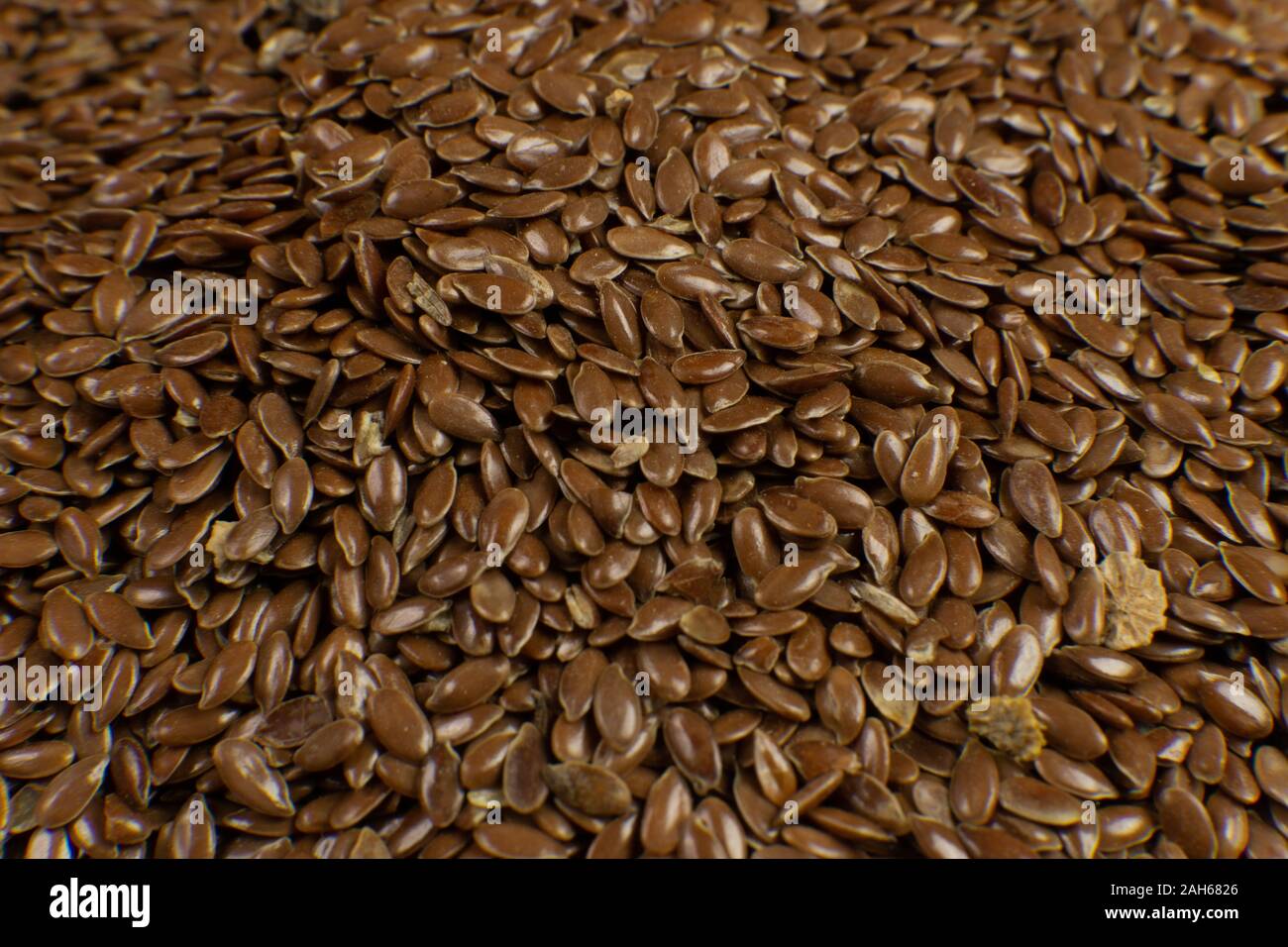 Linum usitatissimum is scientific name of Brown Flax seed. Also known as Linseed, Flaxseed and ...