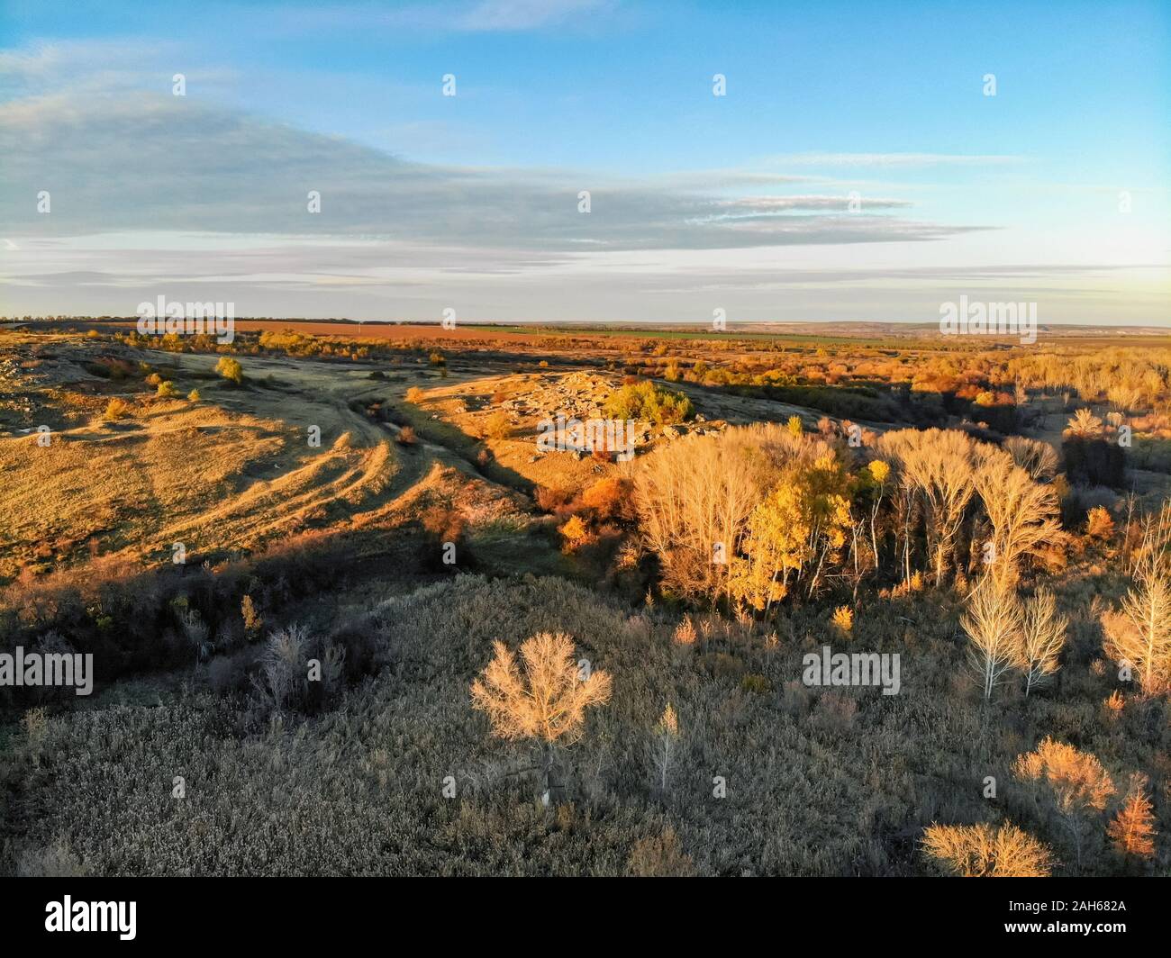 Aerial view of golden trees in steppe taken by drone Stock Photo - Alamy