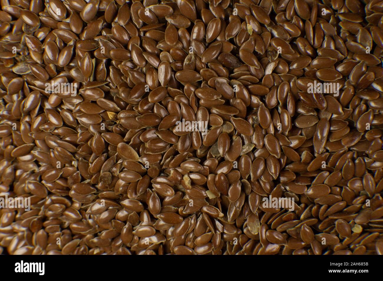 Linum usitatissimum is scientific name of Brown Flax seed. Also known as Linseed, Flaxseed and ...