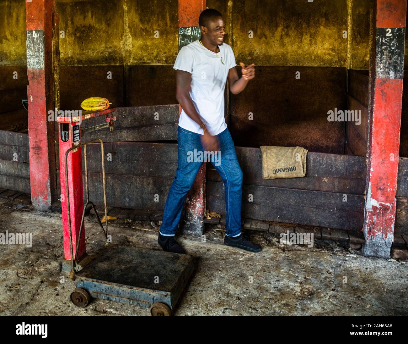 Cacao fermentation hi-res stock photography and images - Alamy