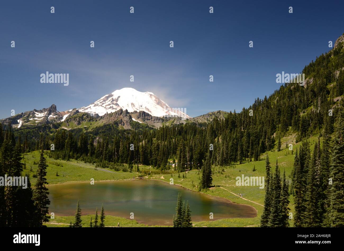 Mt rainier wildflowers hi-res stock photography and images - Alamy