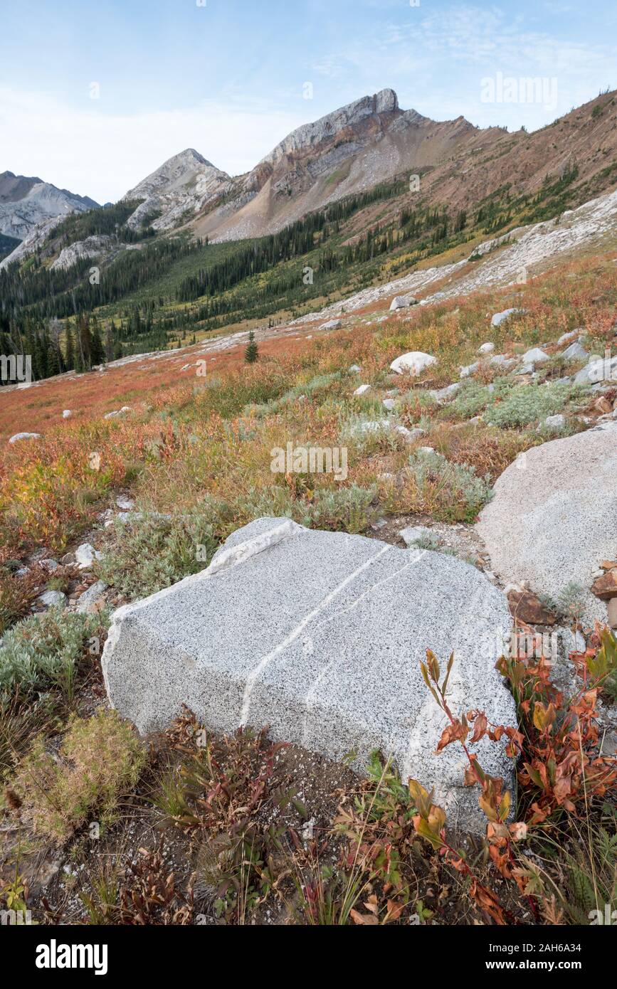 Boulders in a subalpine meadow, Wallowa Mountains, Oregon Stock Photo ...
