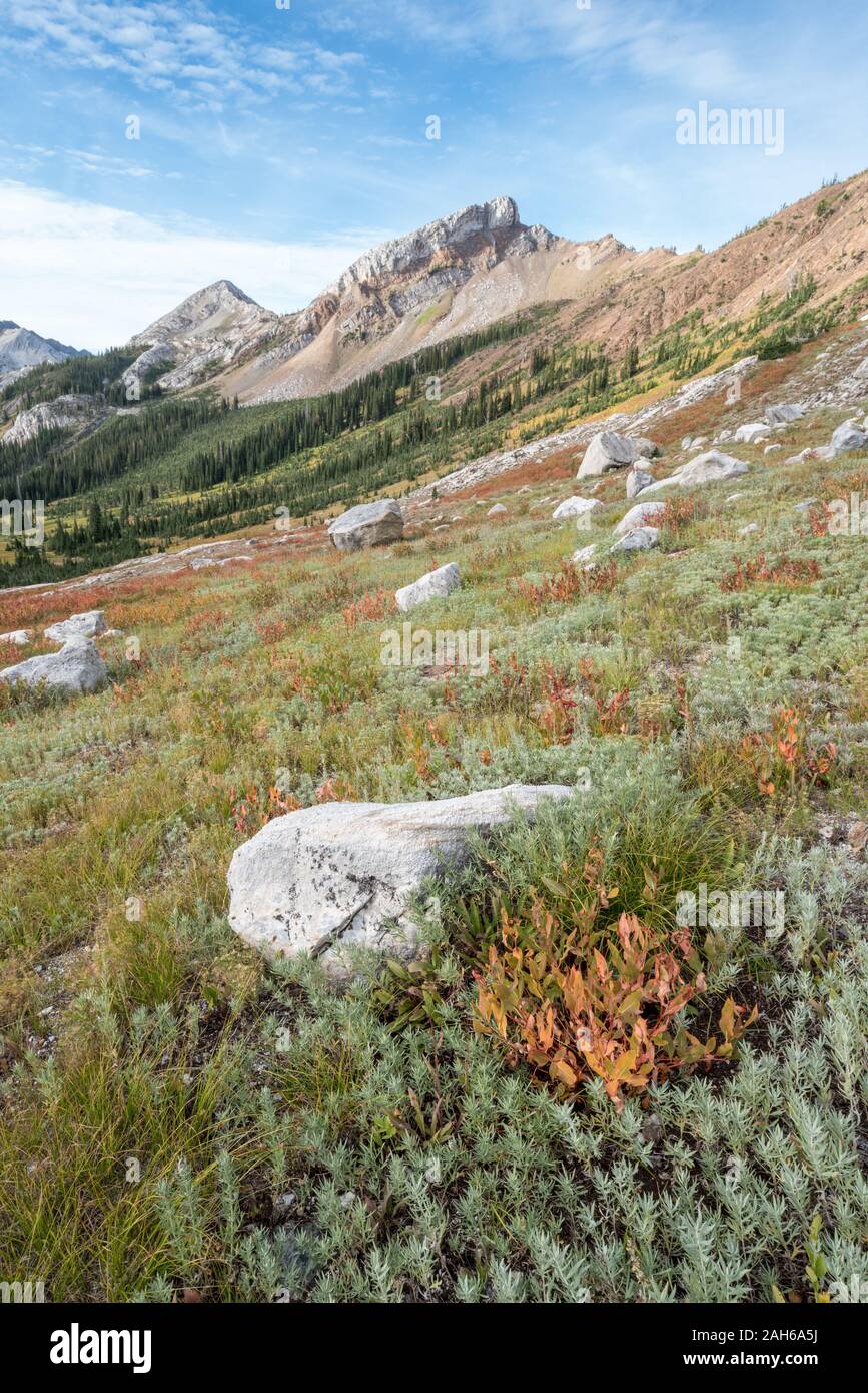 Boulders in a subalpine meadow, Wallowa Mountains, Oregon Stock Photo ...