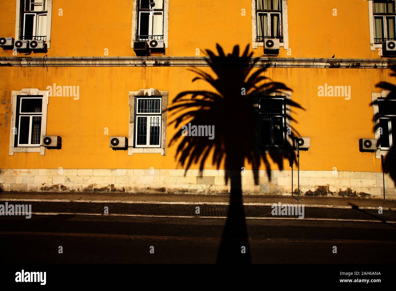 shadof of a palm tree on an old town builing in portugal Stock Photo ...