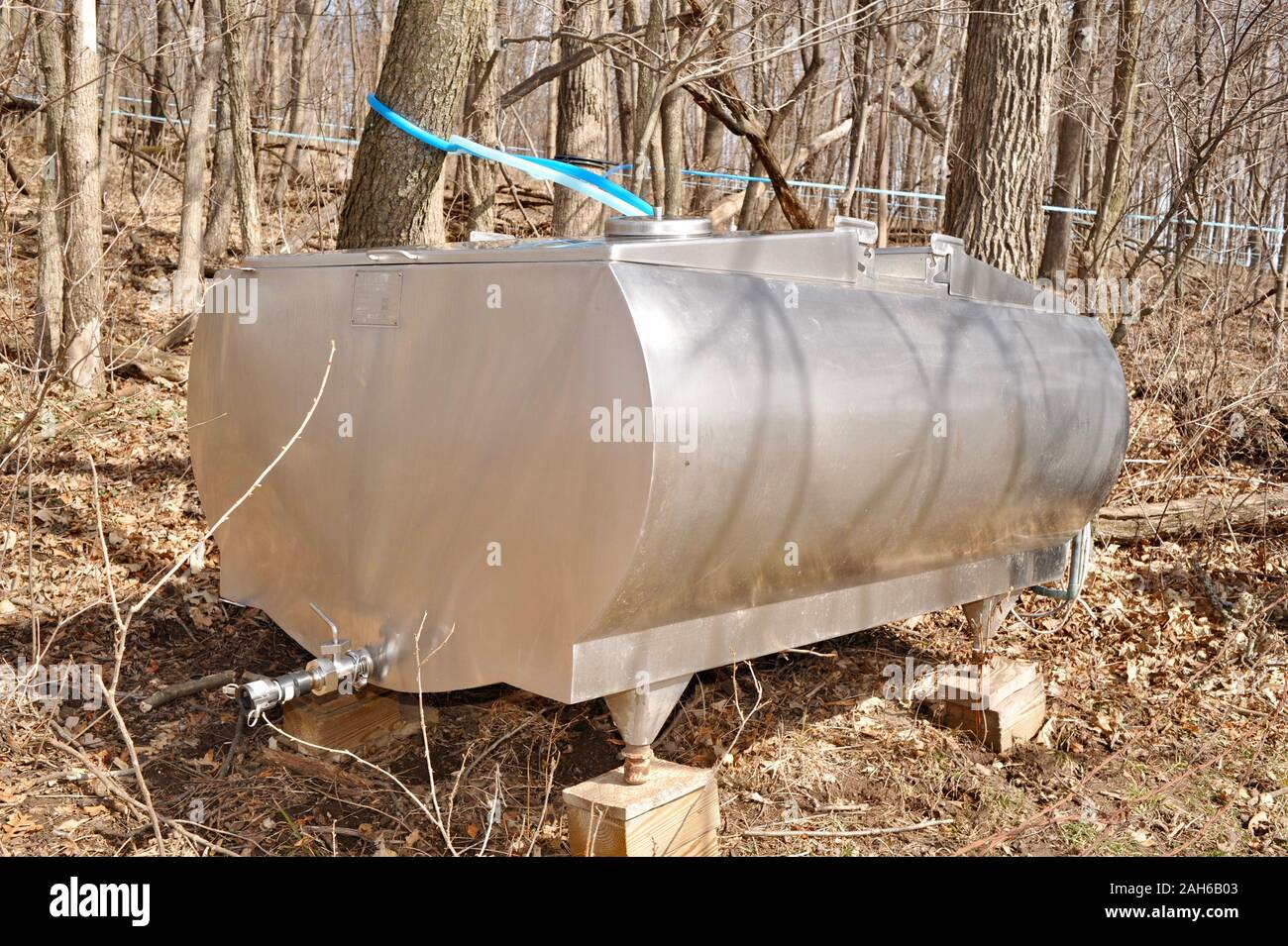 Used Maple Sap Tanks at Ty Pace blog