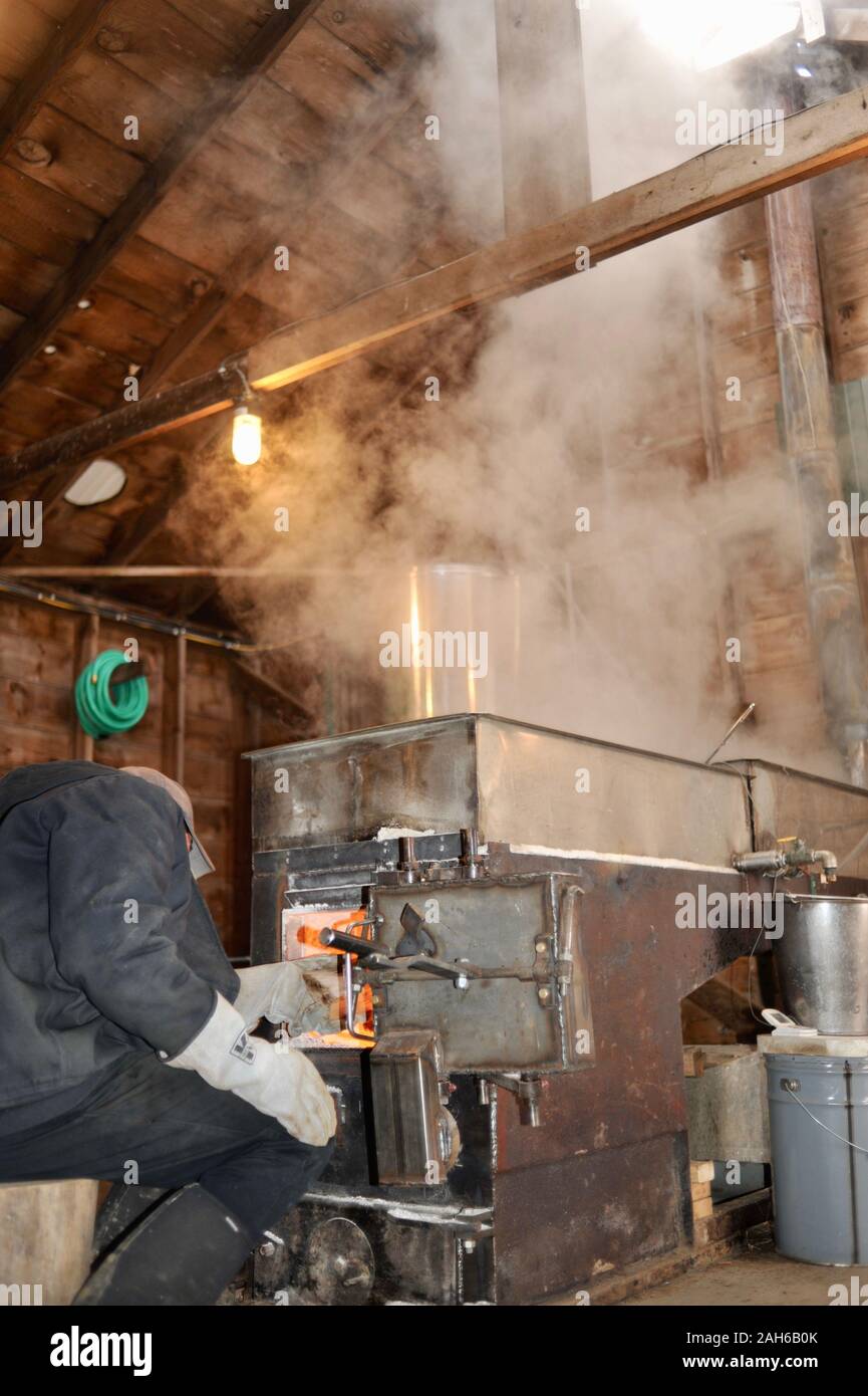 Maple syrup processing hi-res stock photography and images - Alamy