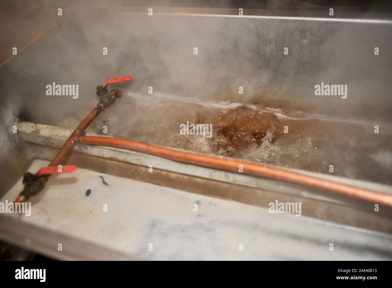 Making maple syrup by tapping maple trees, collecting sap, boiling sap ...