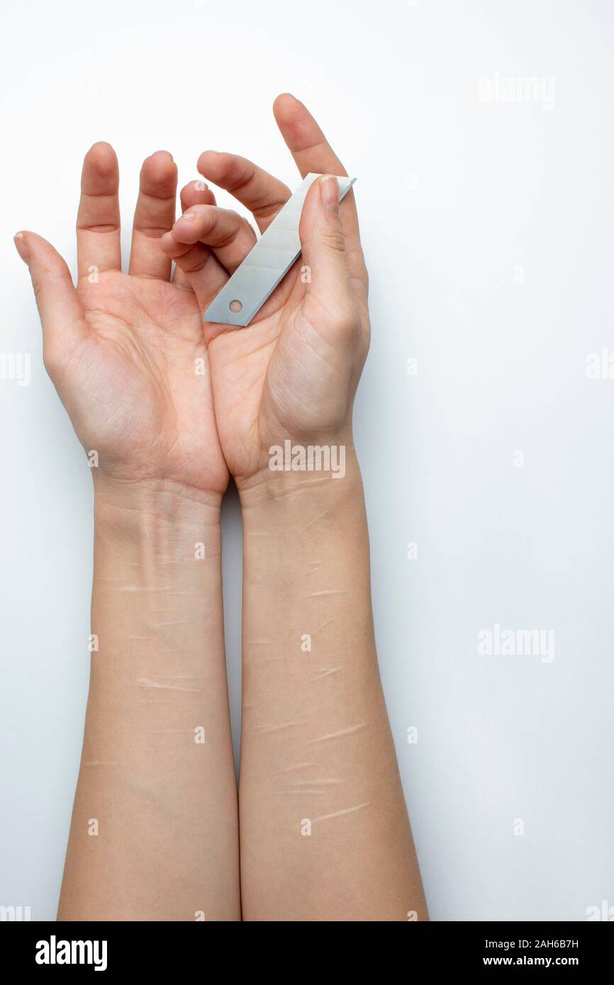 Hand holding paper cutter blade refill or replacement Stock Photo - Alamy