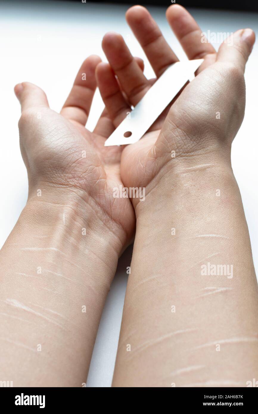 Hand holding paper cutter blade refill or replacement Stock Photo - Alamy
