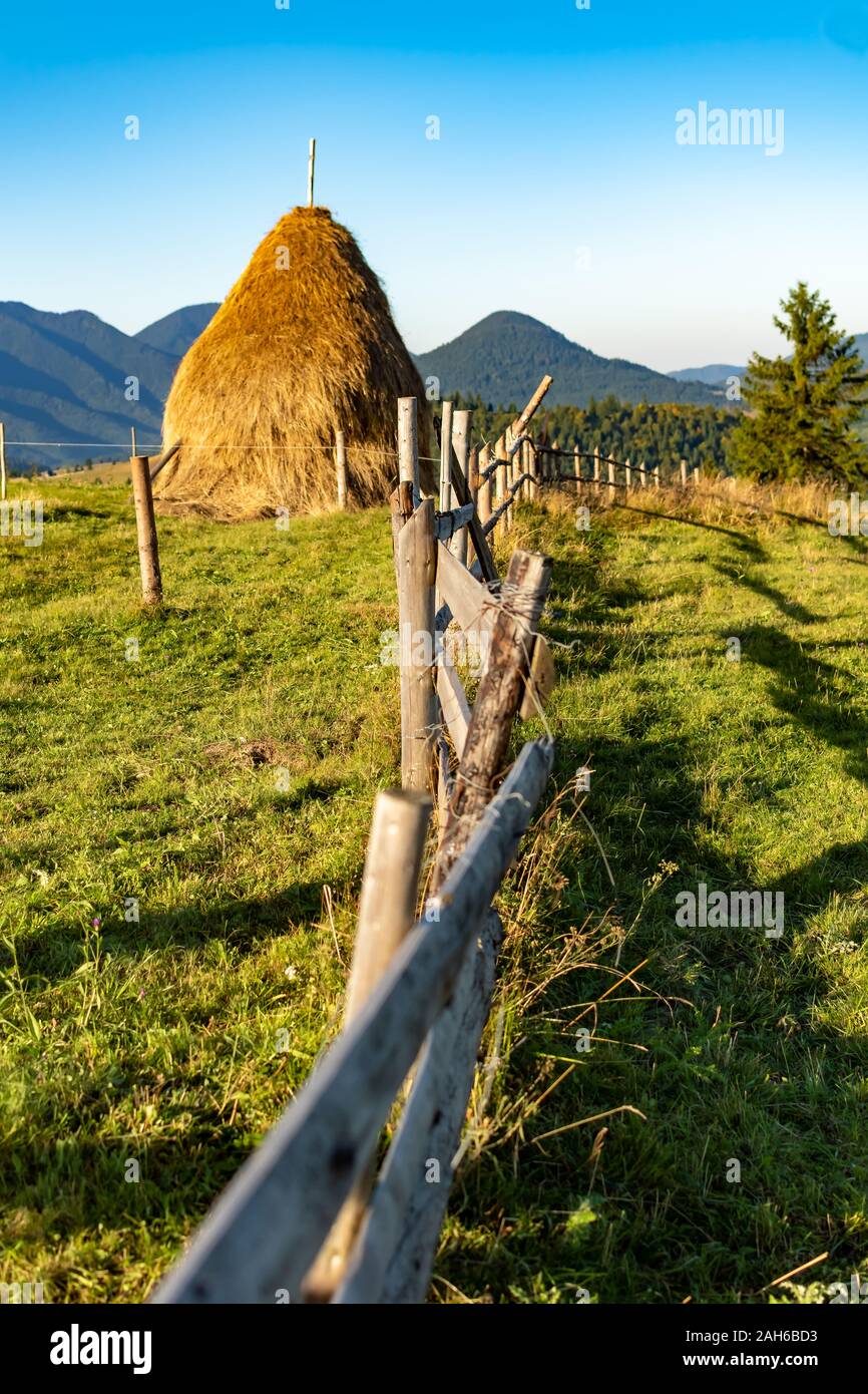 Beautiful mountain landscape with traditional piles of hay on meadow in ...
