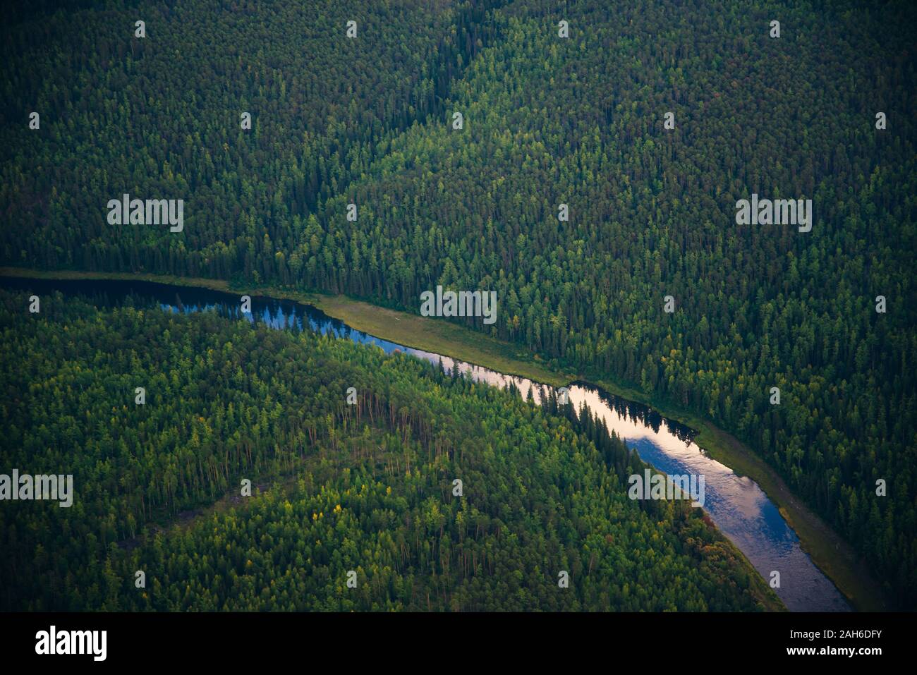 Aerial view taiga boreal forest hi-res stock photography and images - Alamy