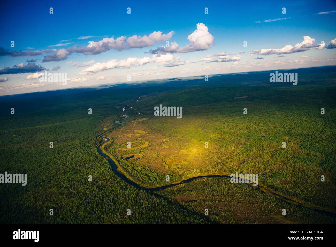 Aerial view taiga boreal forest hi-res stock photography and images - Alamy